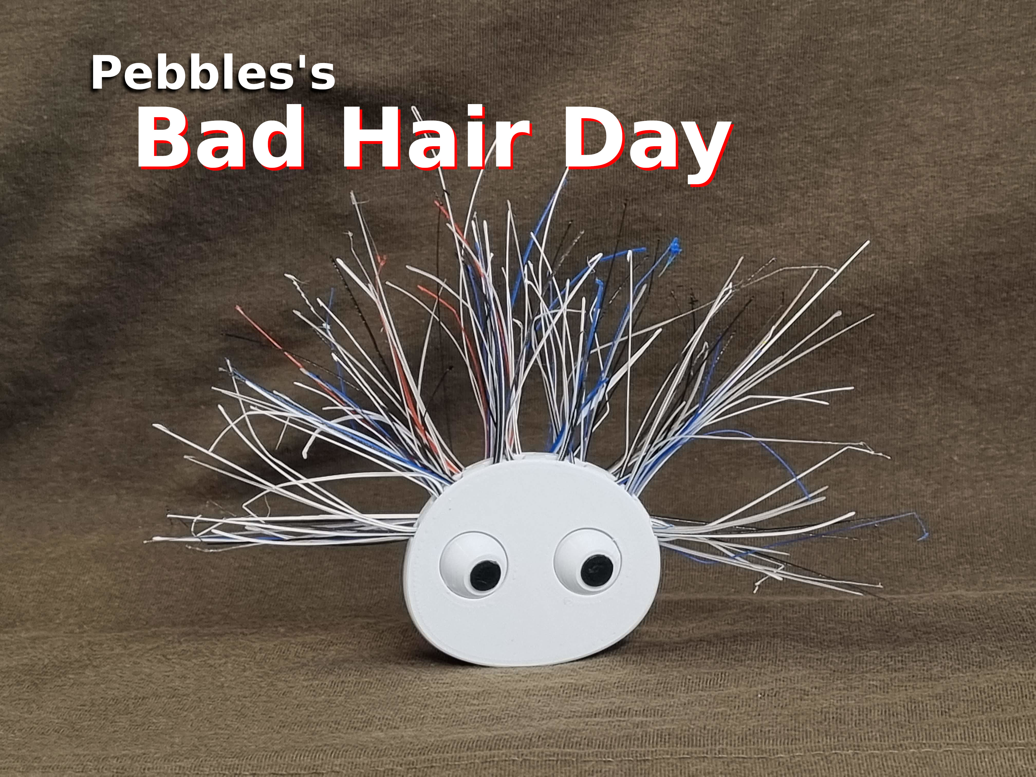 Pebble's Bad Hair Day by ishikawats | Download free STL model ...