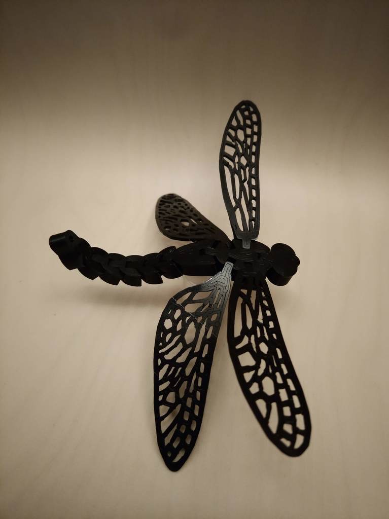 Floppy Dragonfly by crashdebug | Download free STL model | Printables.com