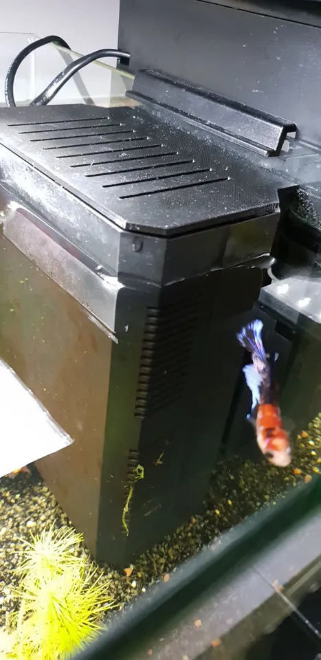 Superfish home 60 aquarium filter cover by PvL__N | Download free STL ...