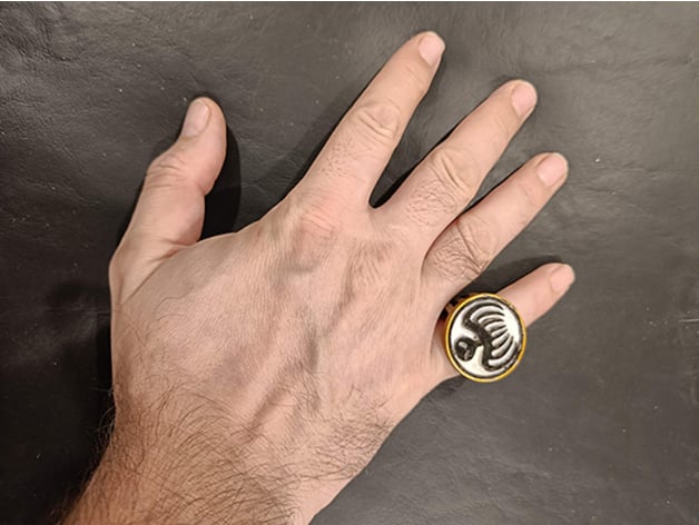 Spectre ring (inspired by James Bond) by Loutre3D | Download free STL ...