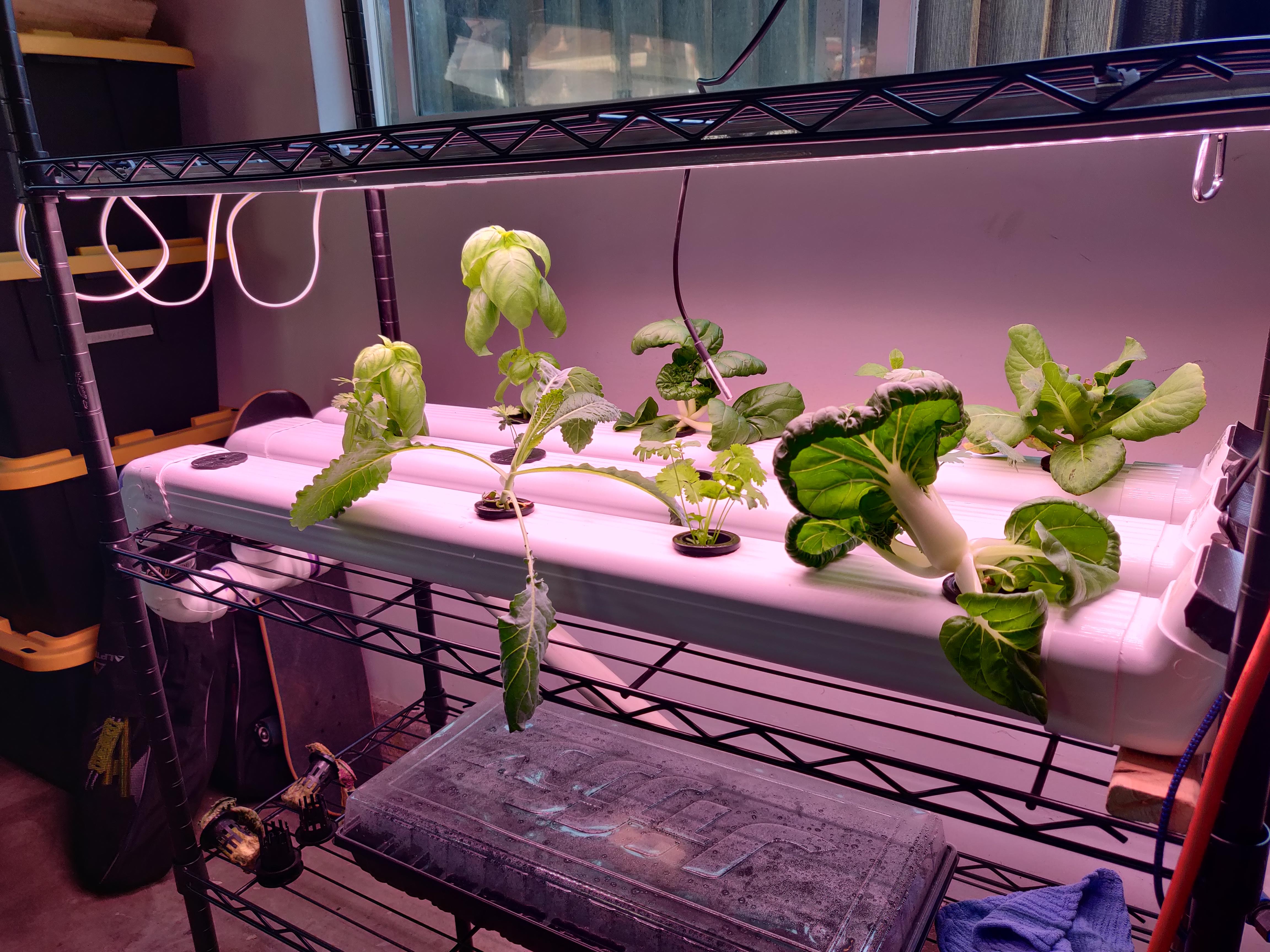 Hydroponics NFT hex net cup by Patrick Flick | Download free STL model ...