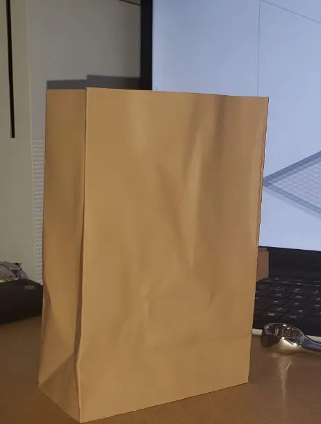 "Paper" Bag by saracha42 | Download free STL model | Printables.com