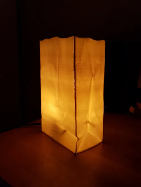 "Paper" Bag by saracha42 | Download free STL model | Printables.com