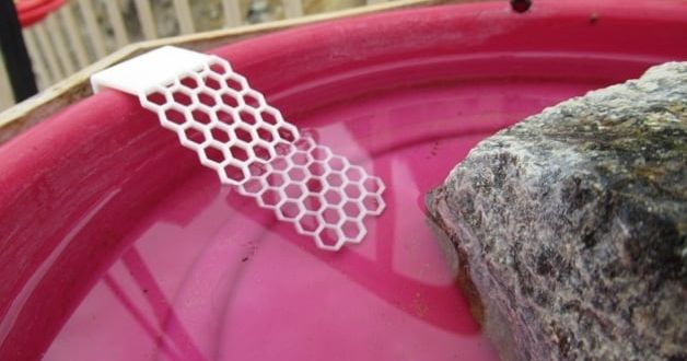 Water Bowl Bee Ladder by RMeuth | Download free STL model | Printables.com