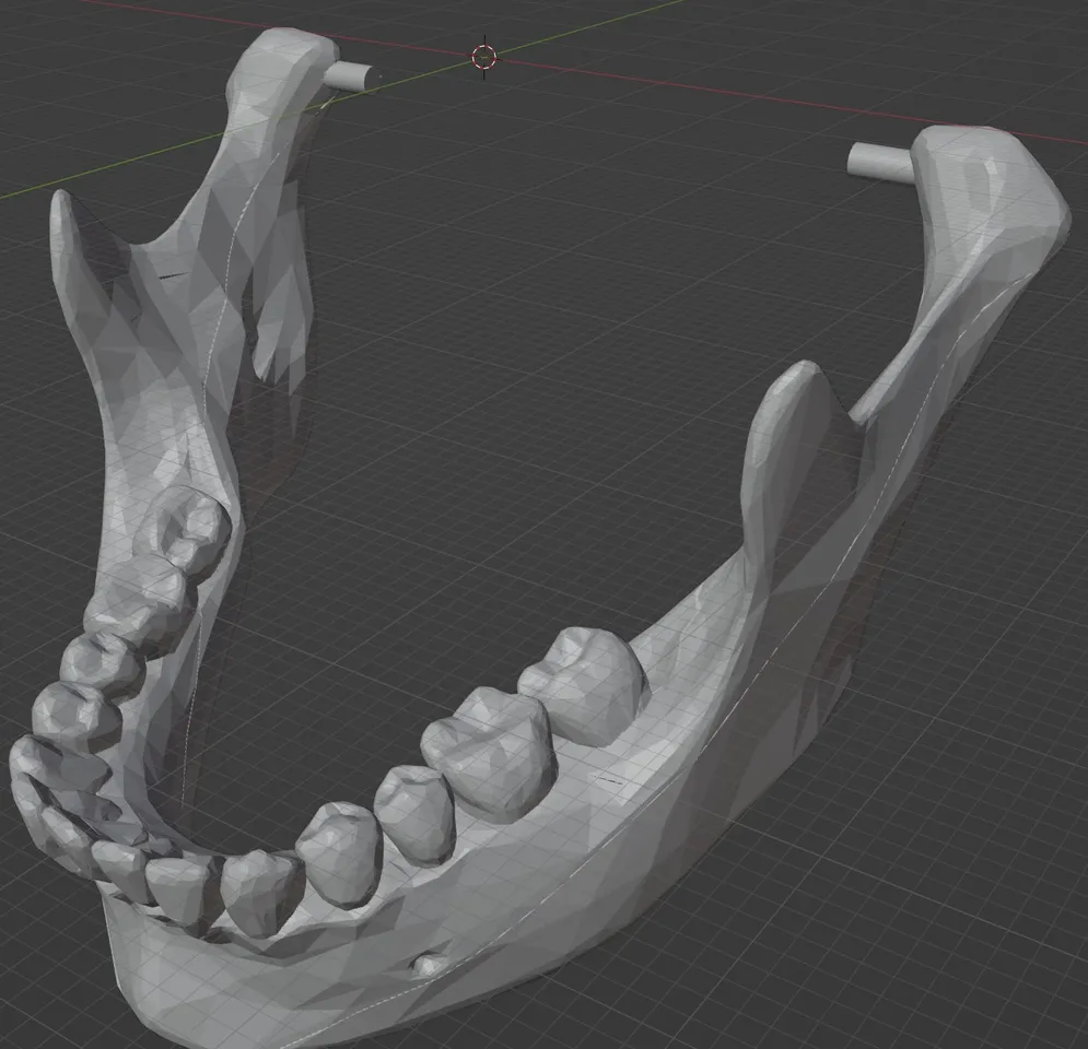 Anatomically correct HINGED Skull and Jaw by EDGeProjects | Download ...