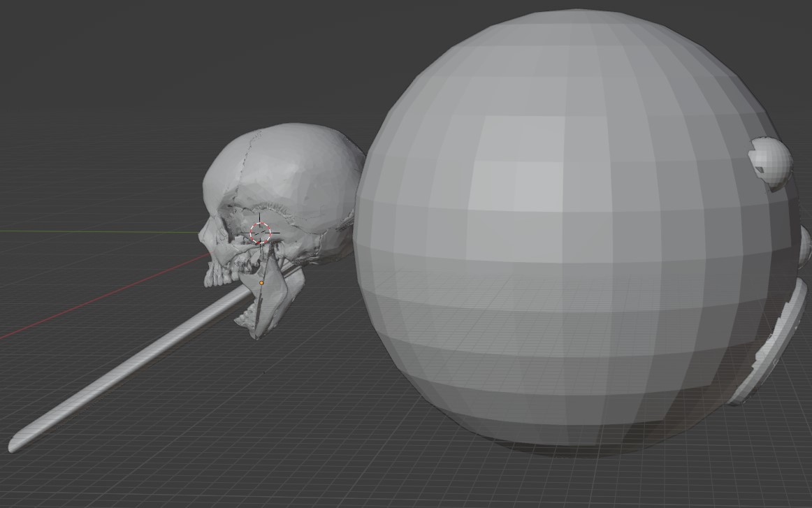Anatomically correct HINGED Skull and Jaw von EDGeProjects ...