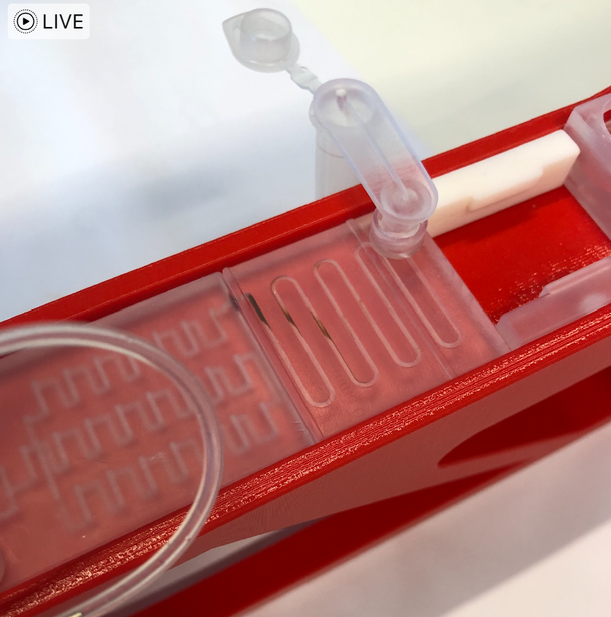 Luer Lock collector por Chewsday123 | Descargar modelo STL gratuito ...