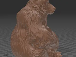 sitting challenge coin bear by Collin Baker | Download free STL model ...