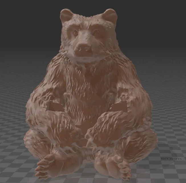 sitting challenge coin bear by Collin Baker | Download free STL model ...