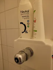 Shower adapter by Guadonjin | Download free STL model | Printables.com