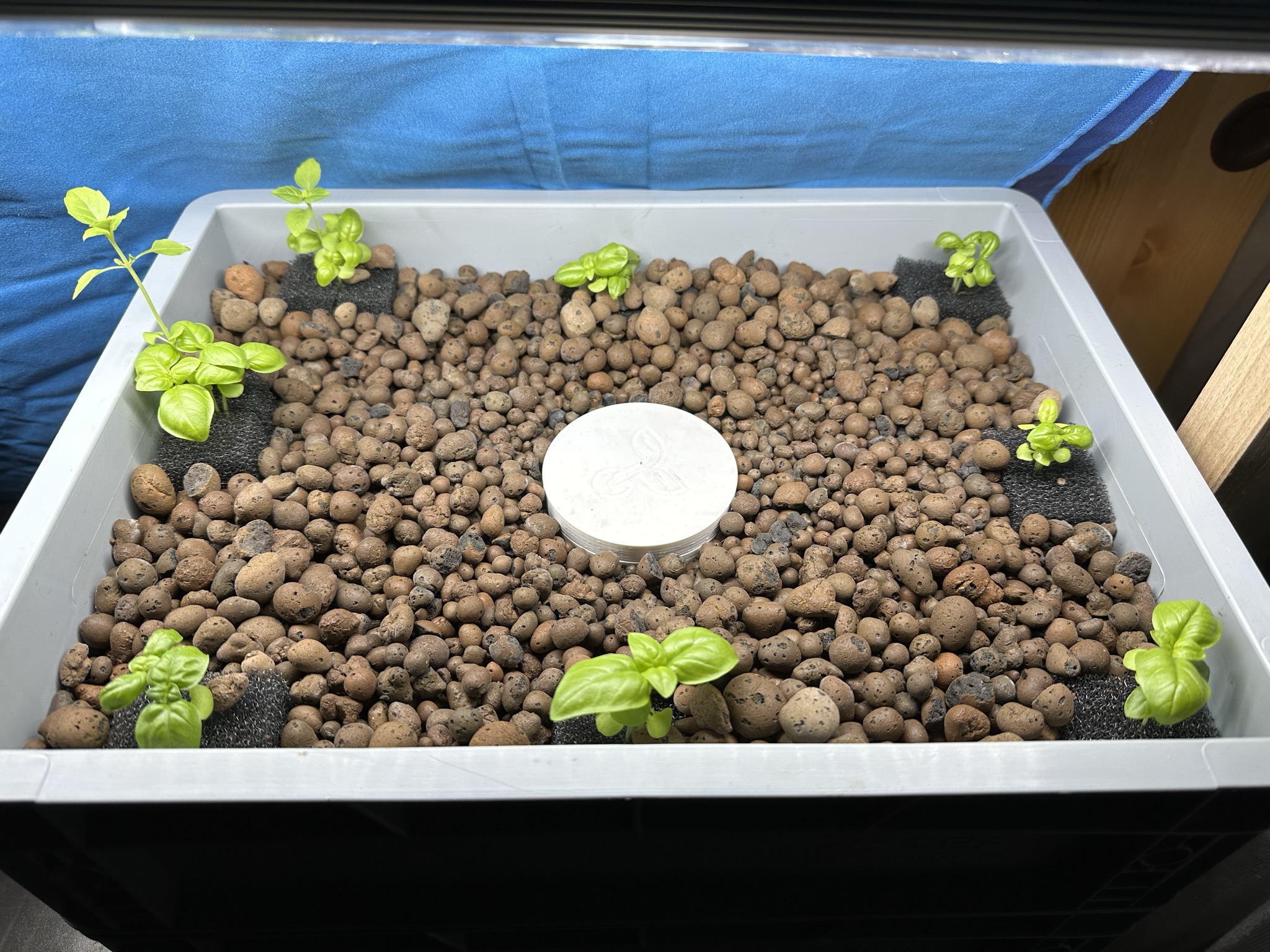 Flood&Drain hydroponic adapter by tcp_j | Download free STL model ...