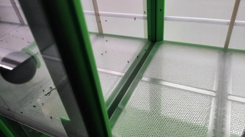 Modular terrarium - insectarium by Dark | Download free STL model ...