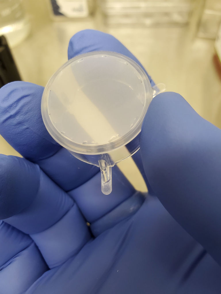 ThinCert (Ø 24 mm) Membrane Cutter by Adrian West | Download free STL ...