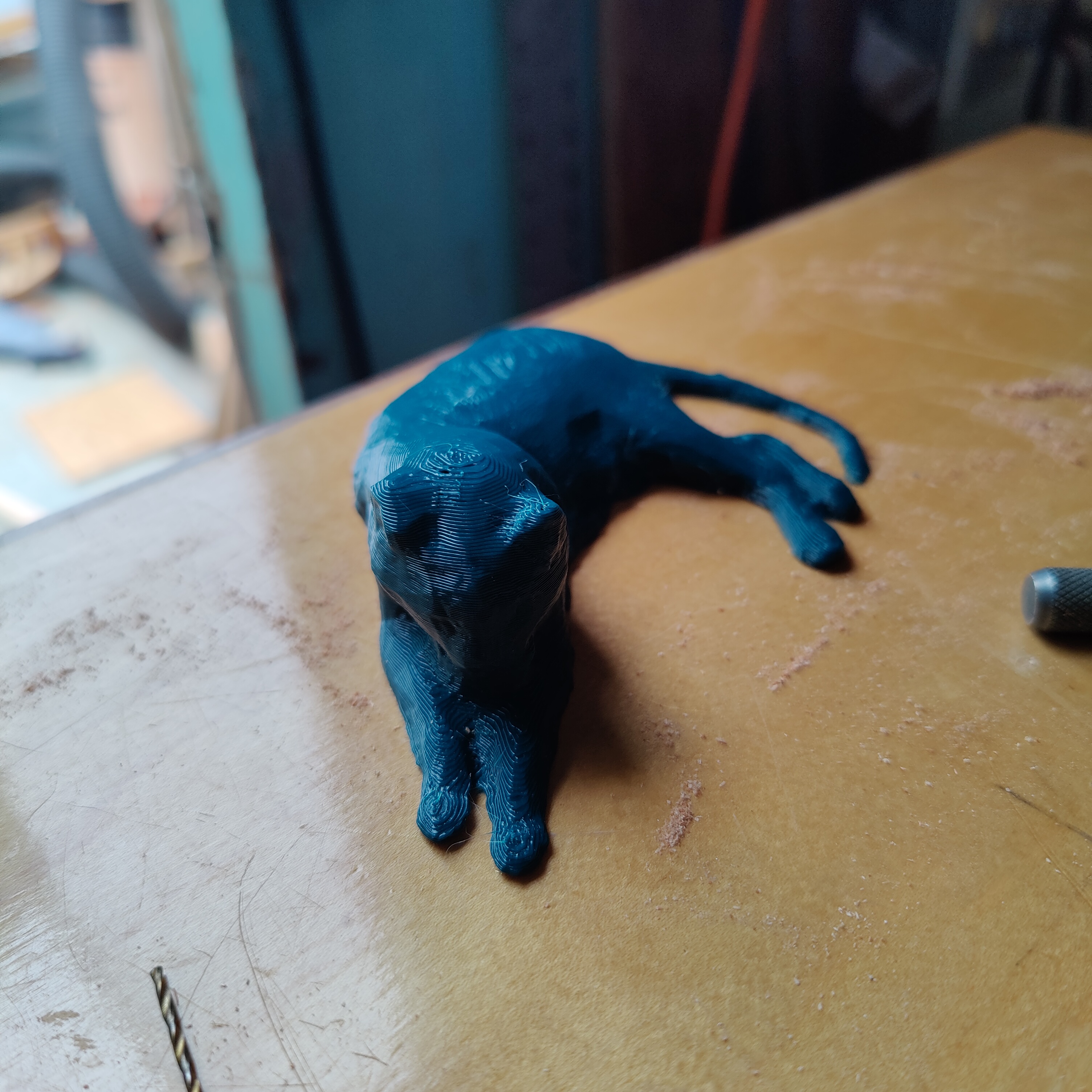 3D scan of my cat Luna by thejosh108 | Download free STL model ...