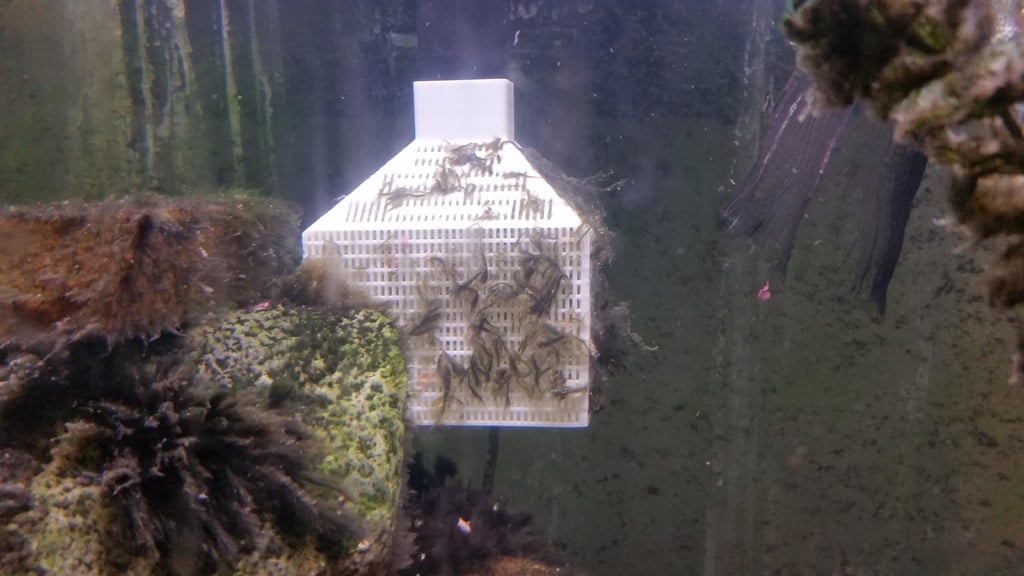 Fish tank filter upgrade by Aaron Wood | Download free STL model ...