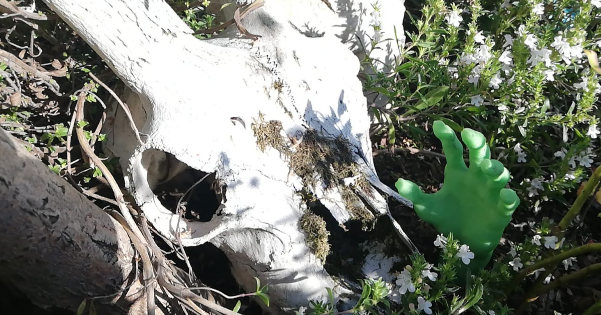 Zombiehand by Eva STEAM | Download free STL model | Printables.com