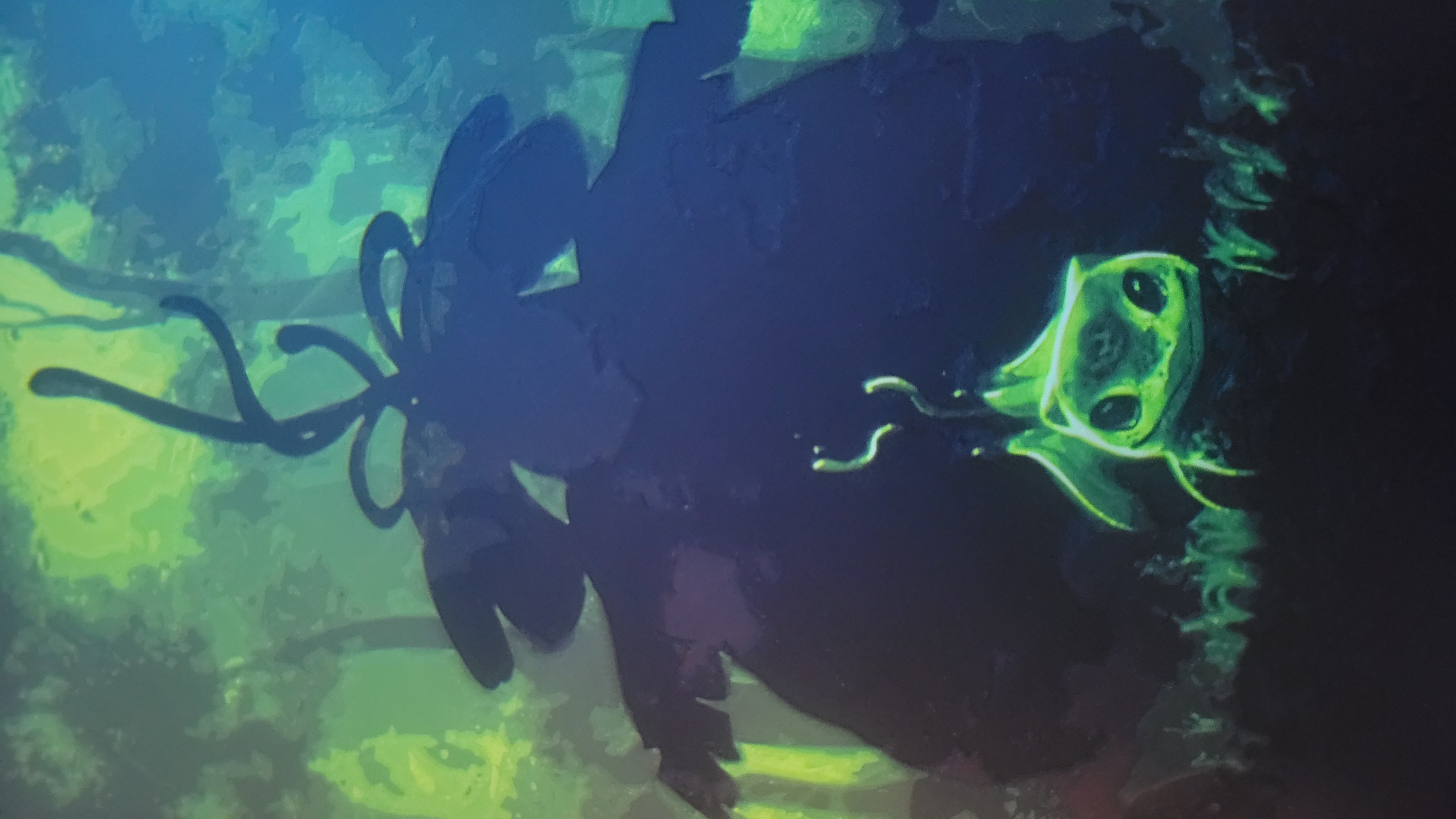 HueForge - Pikachu by Jpbear09 | Download free STL model | Printables.com