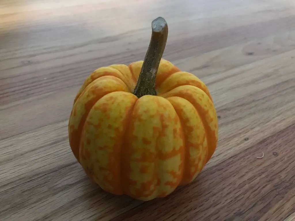 Small Pumpkin Photogrammetry Scan by Gart Hondo | Download free STL ...