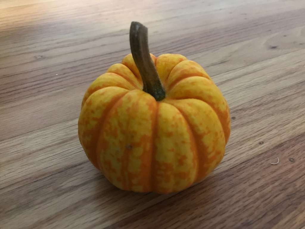 Small Pumpkin Photogrammetry Scan by Gart Hondo | Download free STL ...