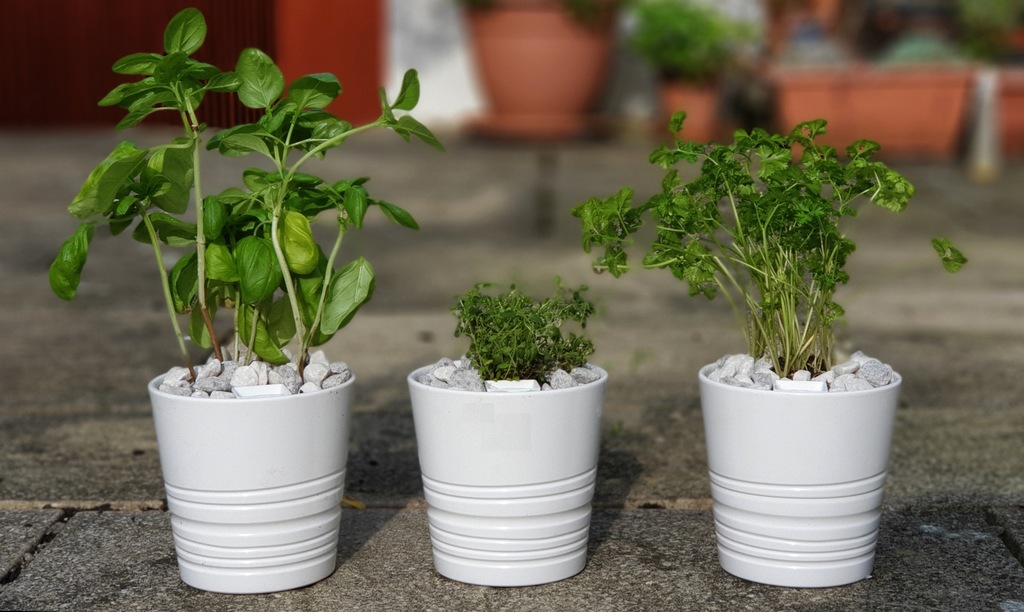 Self-watering kit for IKEA Muskot 9 cm Plant Pot (lightweight design ...