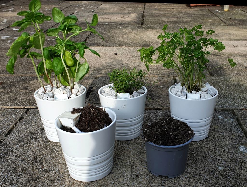 Self-watering kit for IKEA Muskot 9 cm Plant Pot (lightweight design ...