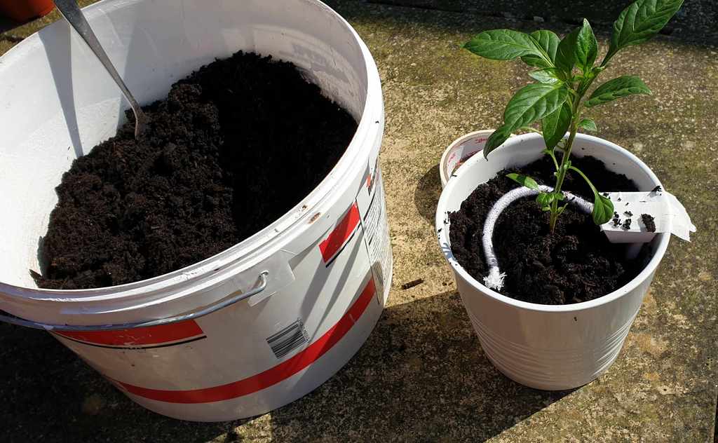 Self-watering kit for IKEA Muskot 12 cm Plant Pot (lightweight design ...