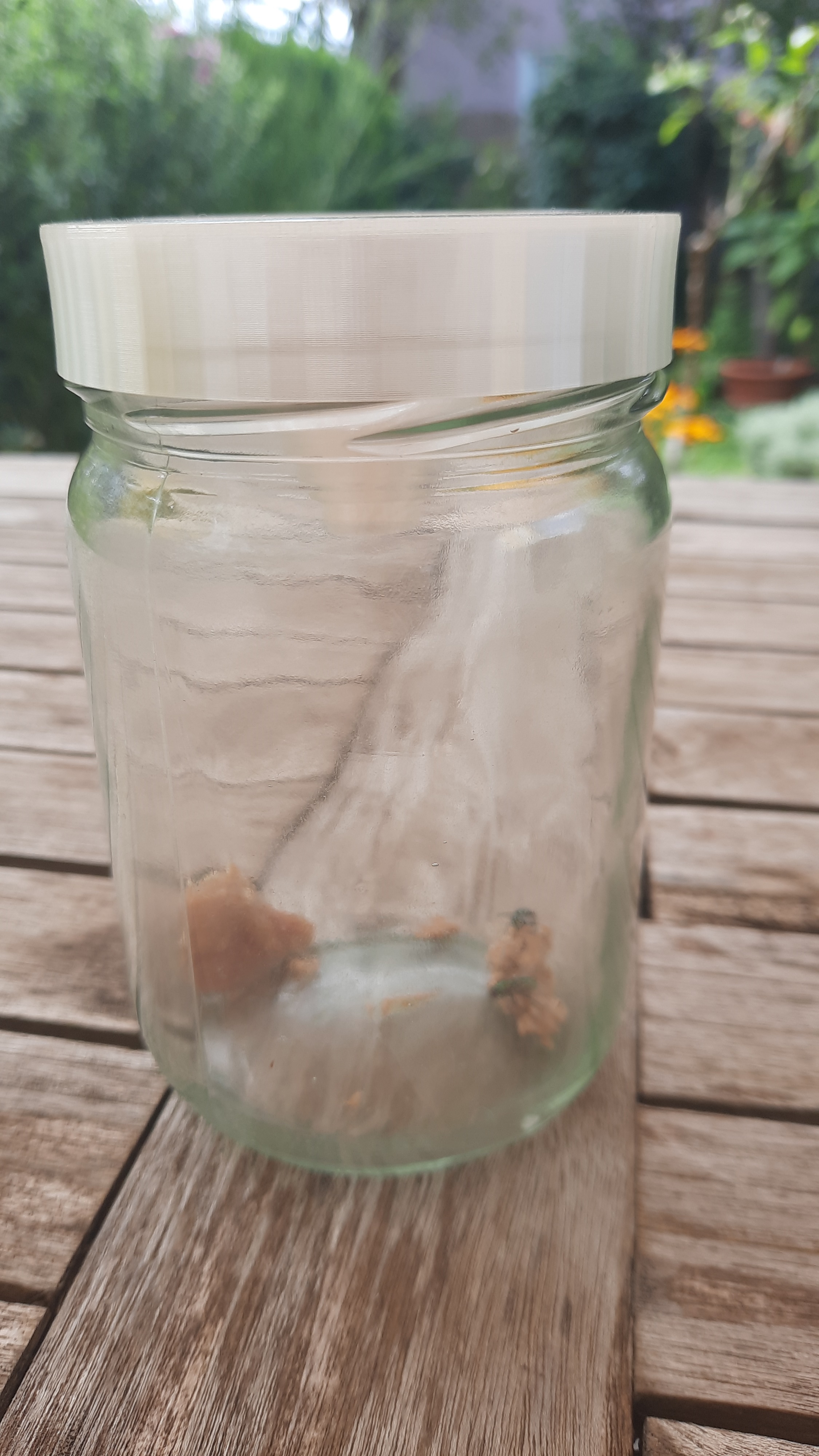 Flesh fly trap (configurable) by Mike_GKA | Download free STL model ...