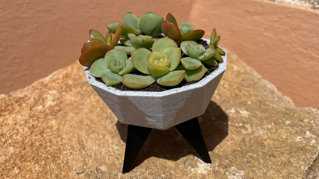 Legged Low Poly Pot by SaintGo | Download free STL model | Printables.com
