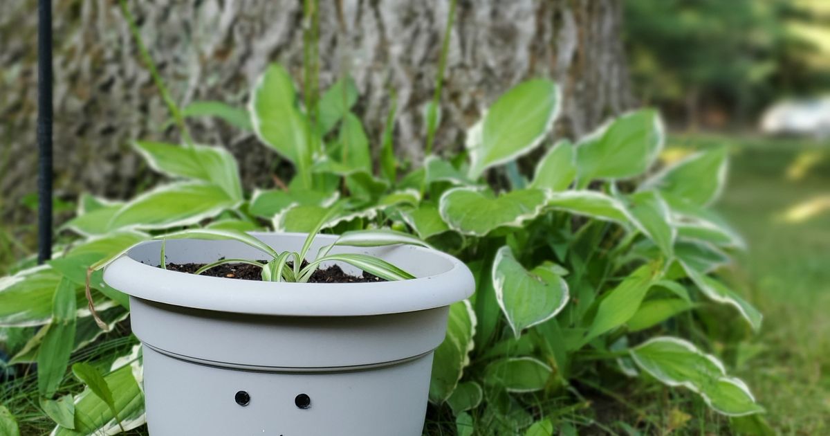 BASIC BUT AWESOME FLOWER POT by Rad Biker | Download free STL model ...