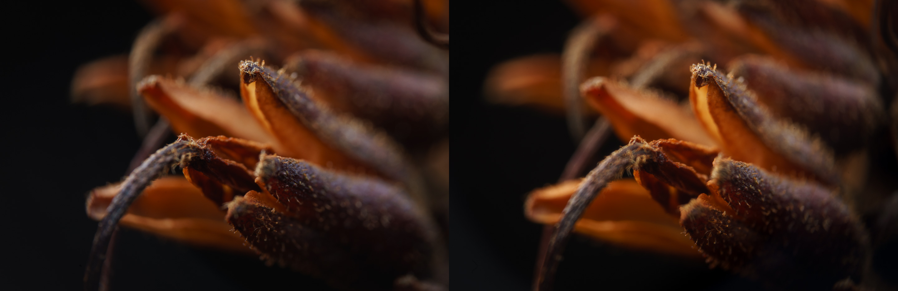 Stereoscopic 3D macro lens (2x magnification) for Sony FE cameras by ...