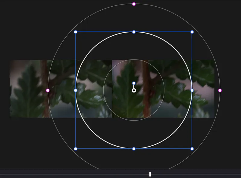 Stereoscopic 3D macro lens (2x magnification) for Sony FE cameras by ...