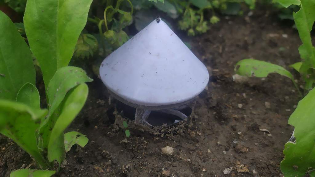 snail, slug trap - fast print (vase mode) by Dzip1 | Download free STL ...