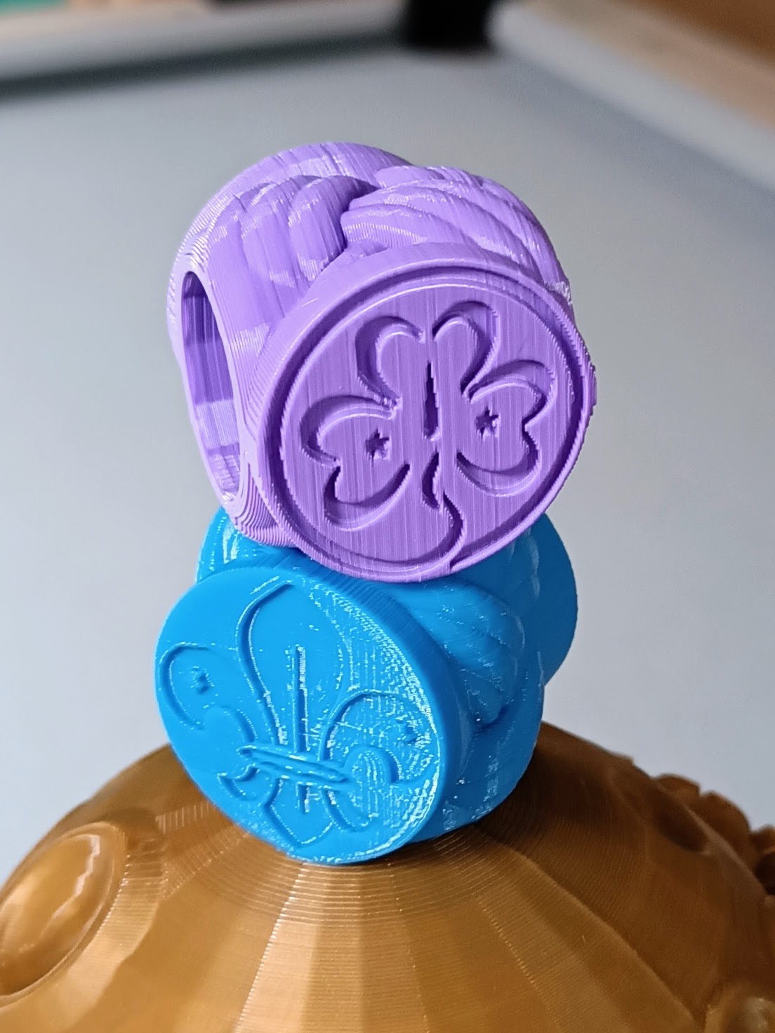 Wagggs Scout friendship woggle. Scarf Ring with fleur de lis and ...