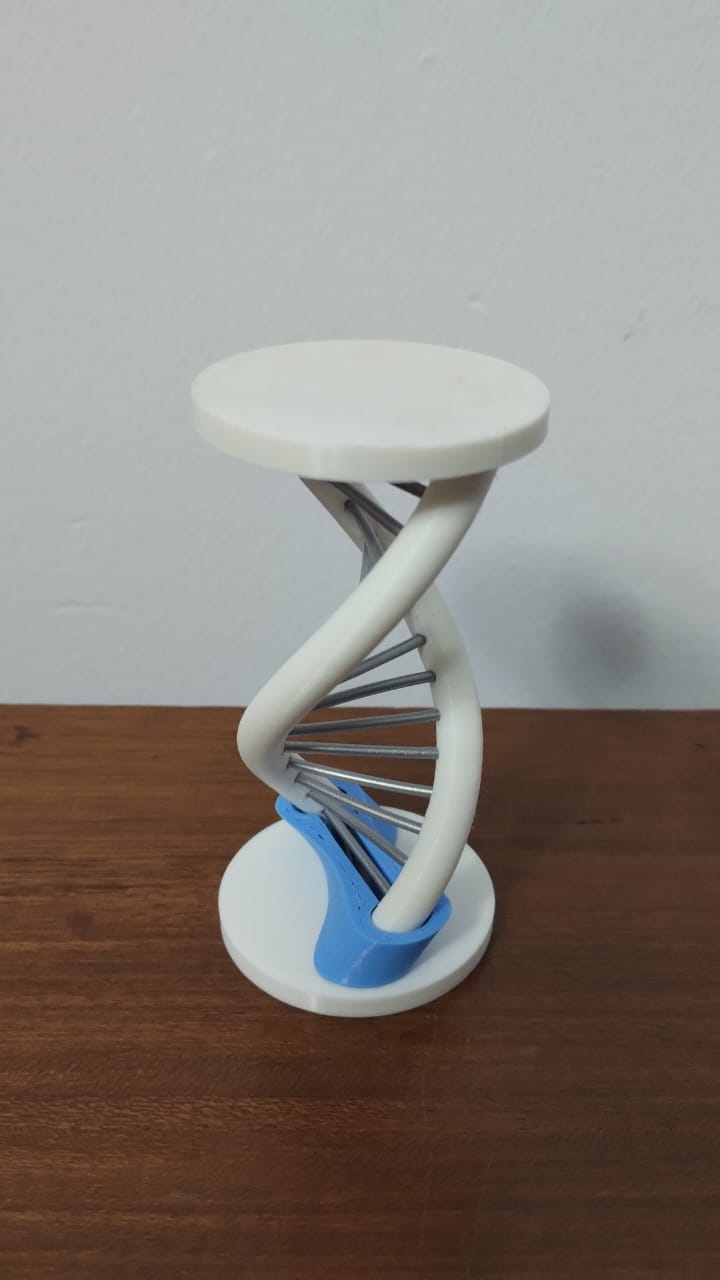DNA Fidget Toy by Sebastián Ruiz | Download free STL model | Printables.com