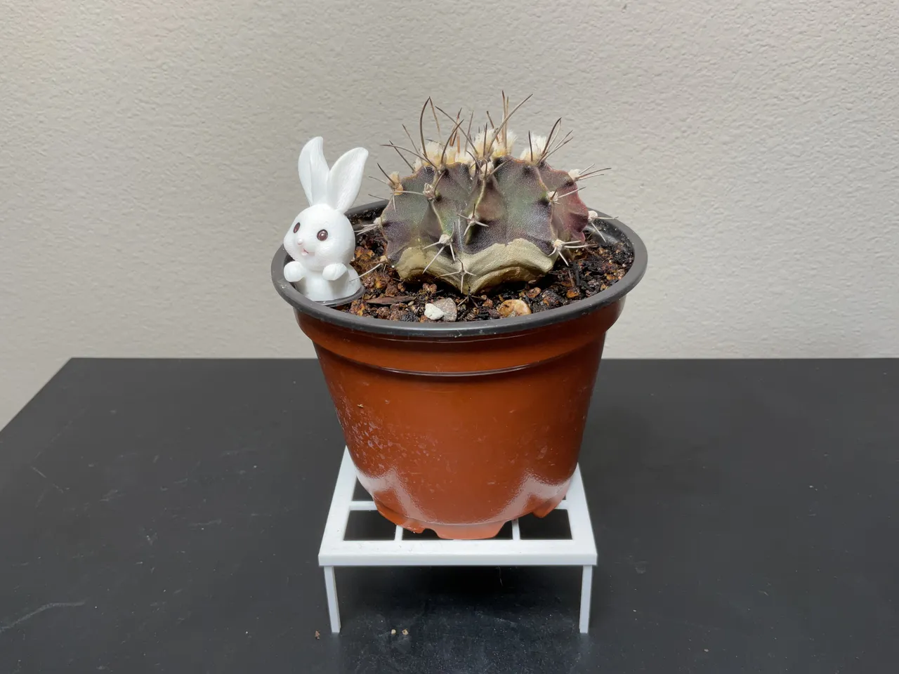 Plant stand by Bryant Yu | Download free STL model | Printables.com