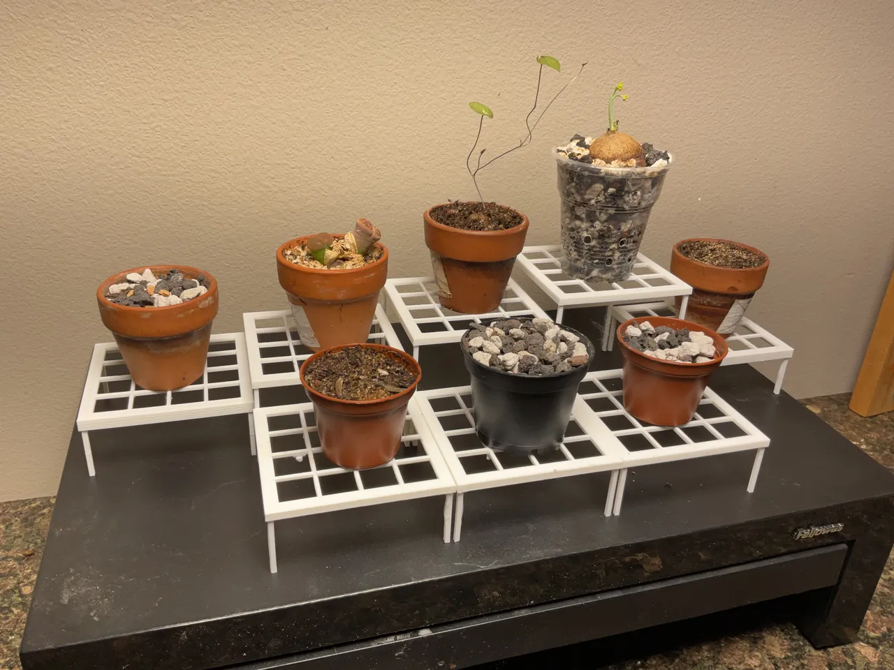 Plant stand by Bryant Yu | Download free STL model | Printables.com