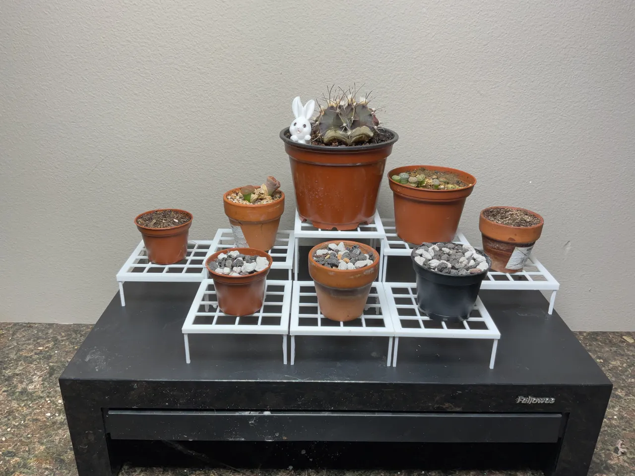 Plant stand by Bryant Yu | Download free STL model | Printables.com