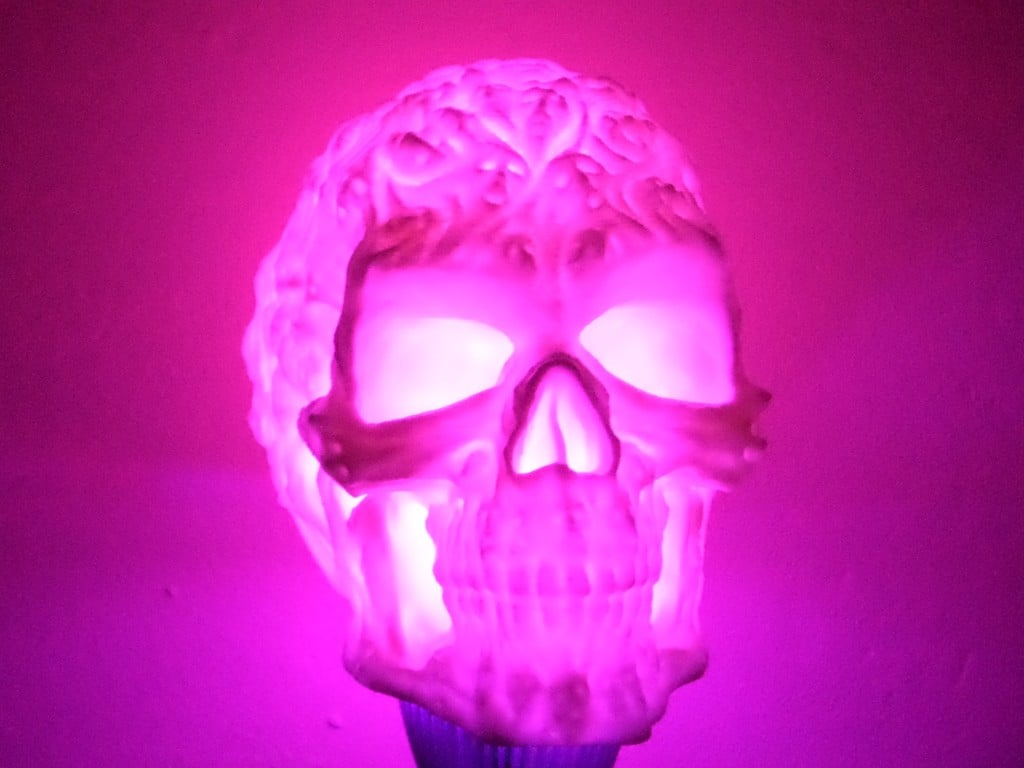 Spook Skull 3D Scan (Hollow) by 3DWP | Download free STL model ...
