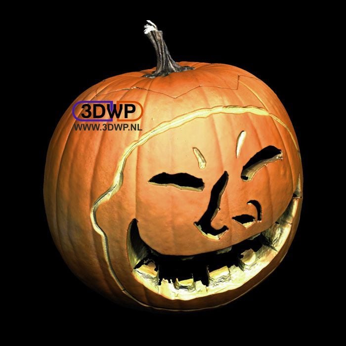 Halloween Pumpkin With Face (3D Scan) by 3DWP | Download free STL model ...
