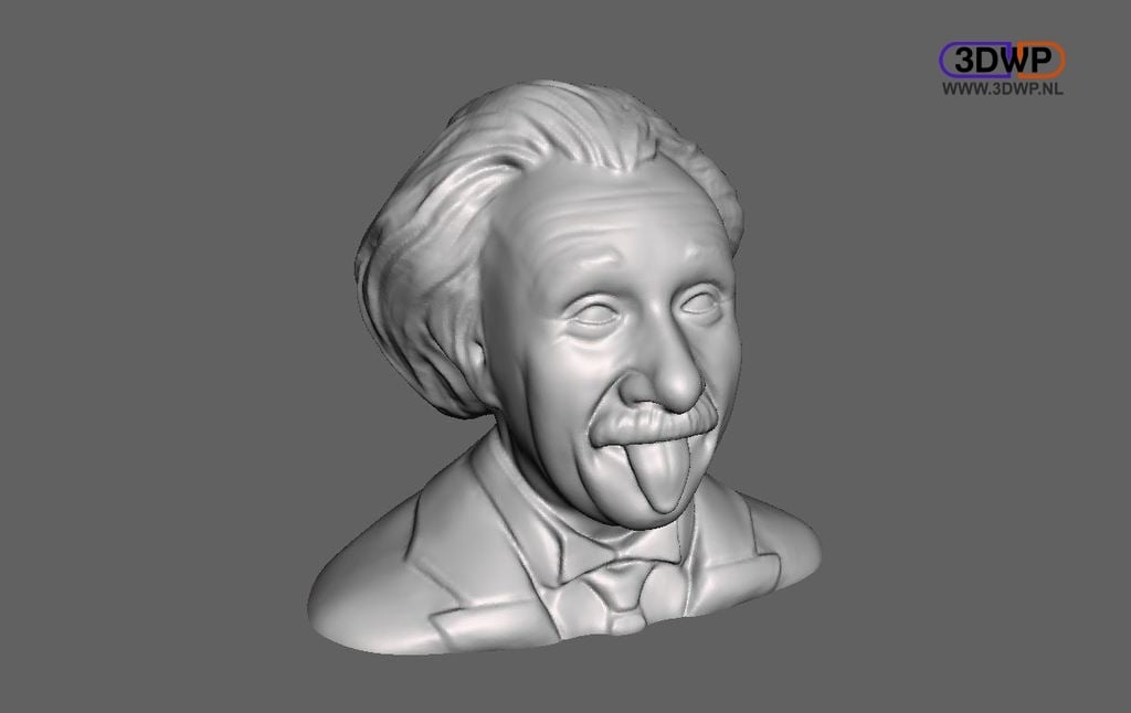 Albert Einstein Bust by 3DWP | Download free STL model | Printables.com