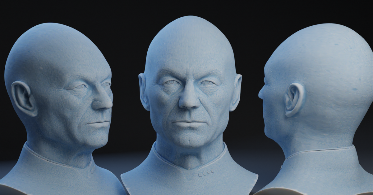 Jean-Luc Picard Bust by Peter Farell | Download free STL model ...