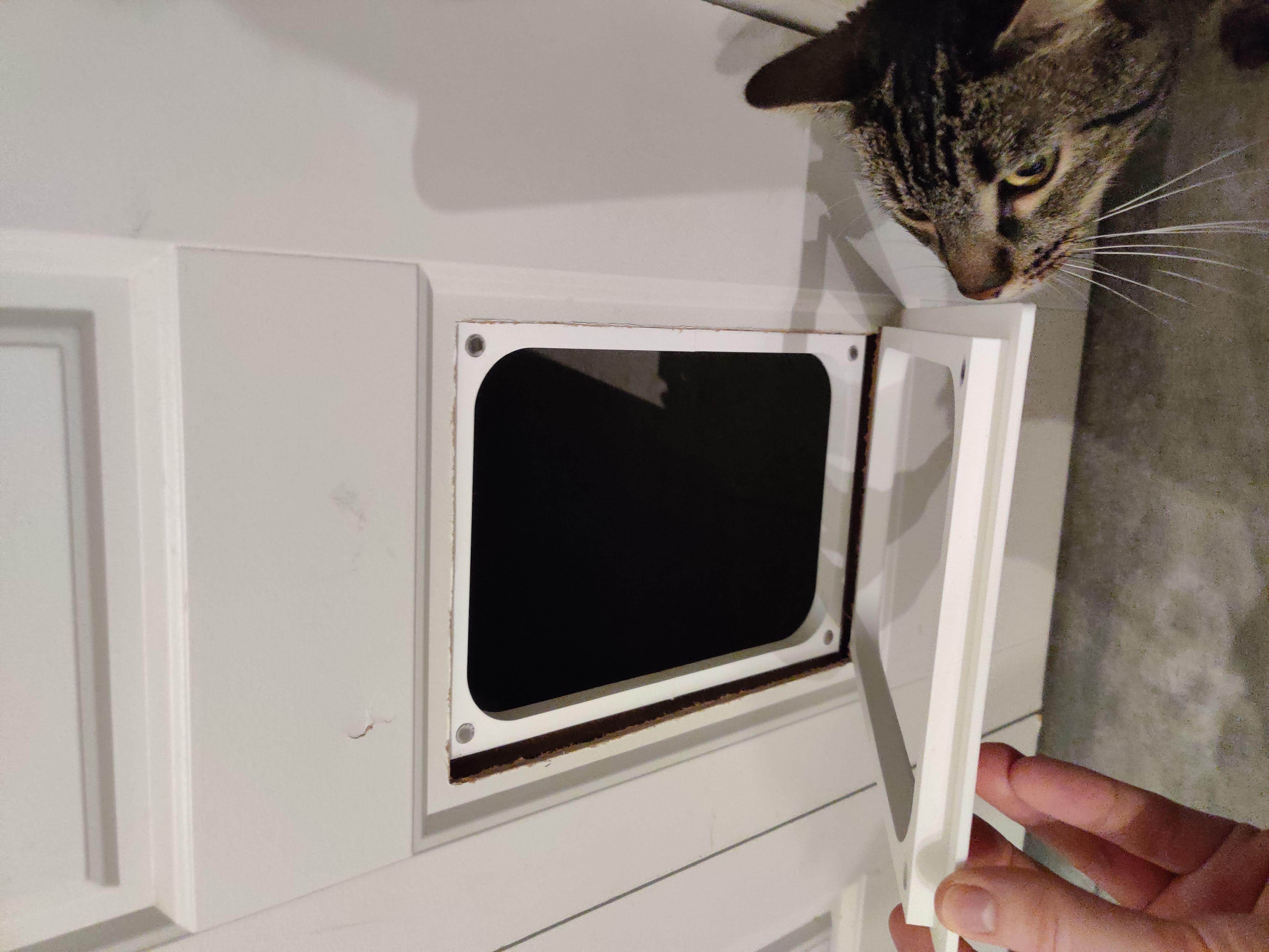 Doorless Cat Doorway Trim for Accordion Door by Robin Kurtz | Download ...