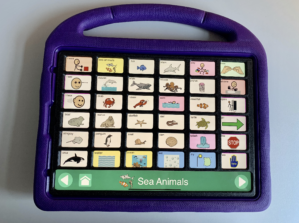 Ipad Air 4 Go talk now 7 x 7 and Proloquo2Go 7 x 11 button Suplick Case ...