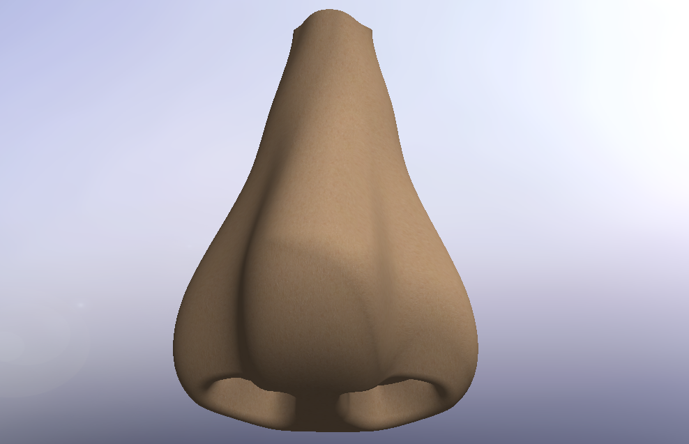 Human Nose + Keychain by THop3D | Download free STL model | Printables.com