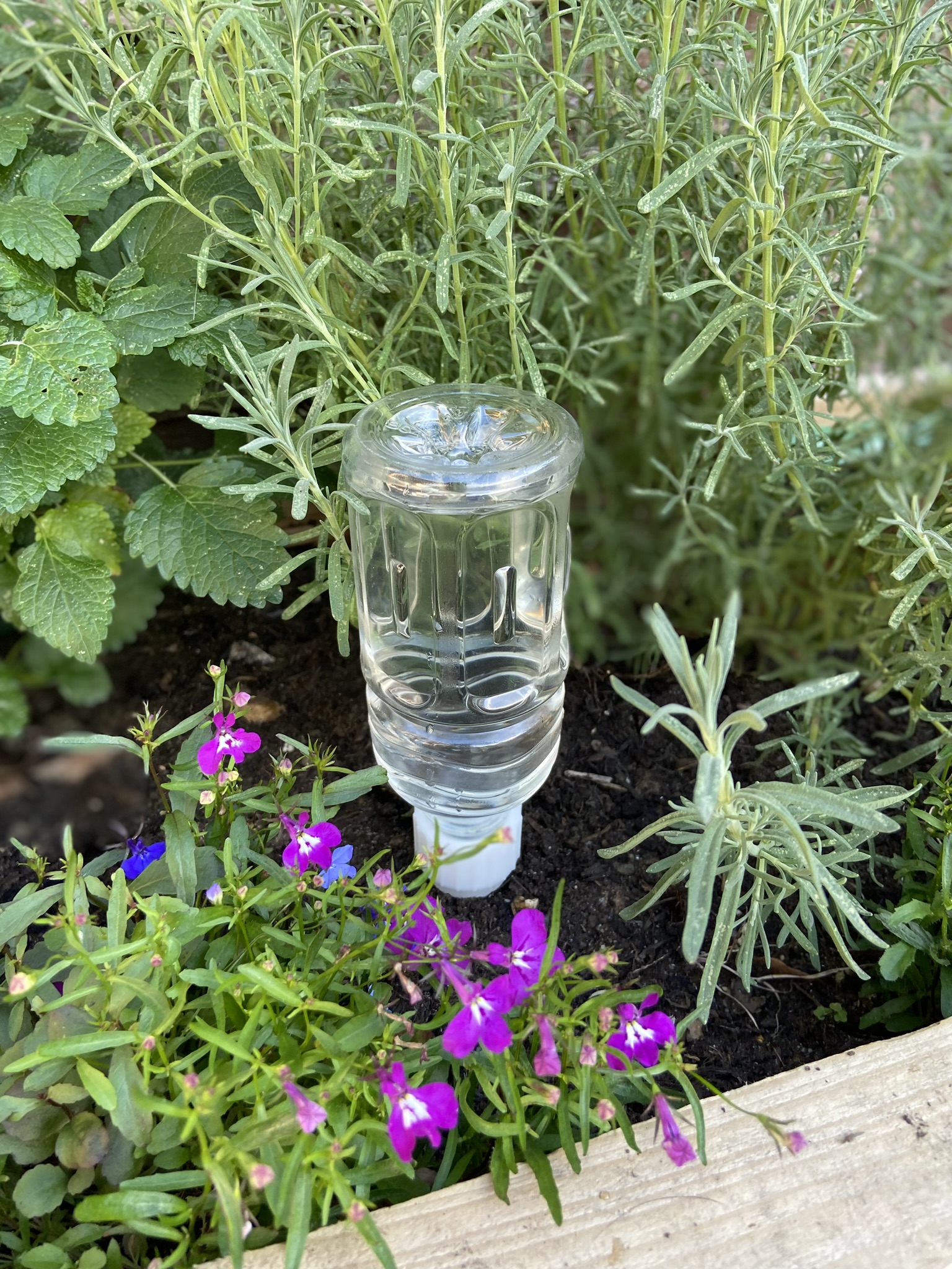 PET Bottle Watering Spikes Slow Watering by PrinttX | Download free STL ...