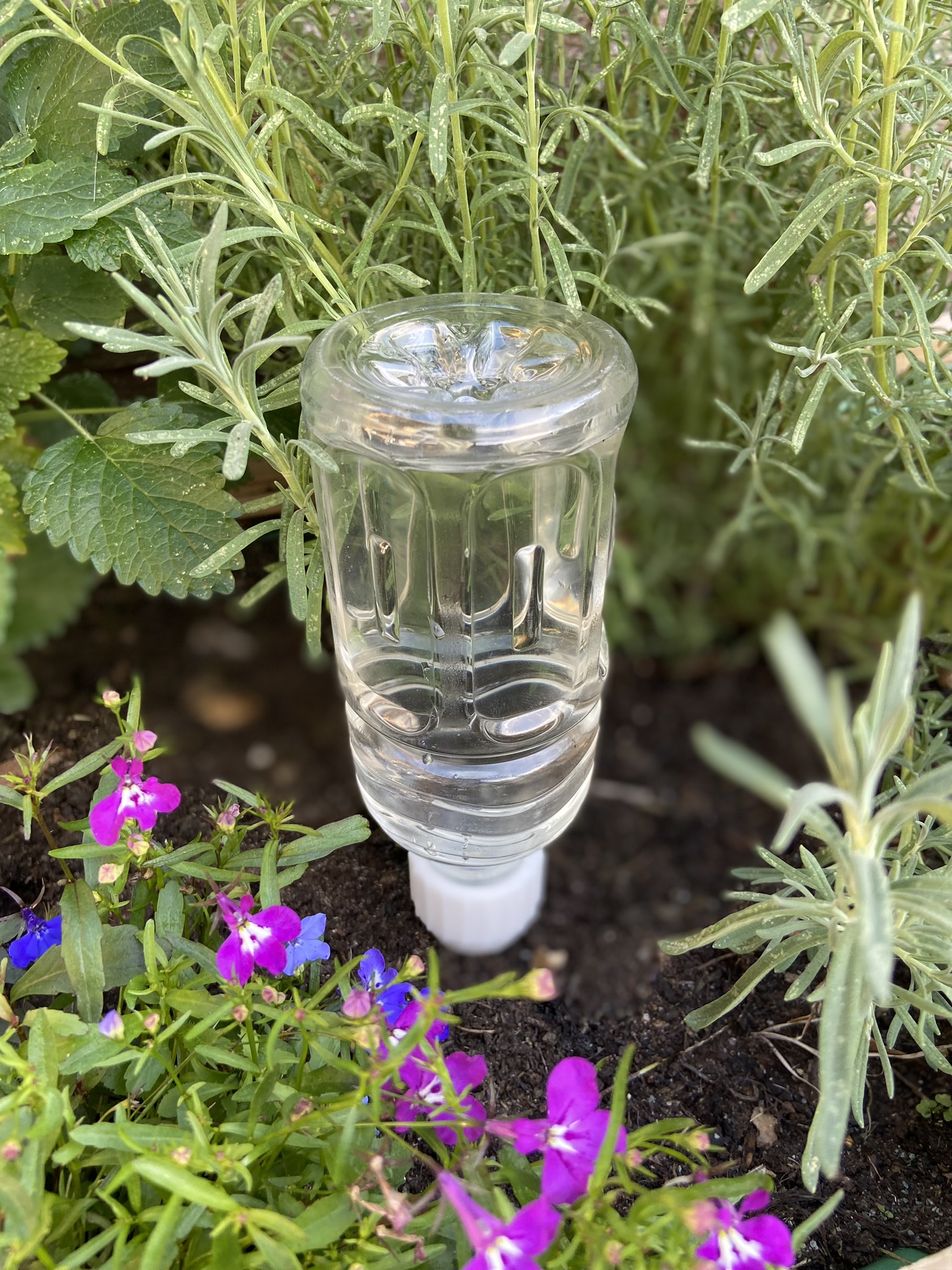 PET Bottle Watering Spikes Slow Watering by PrinttX | Download free STL ...