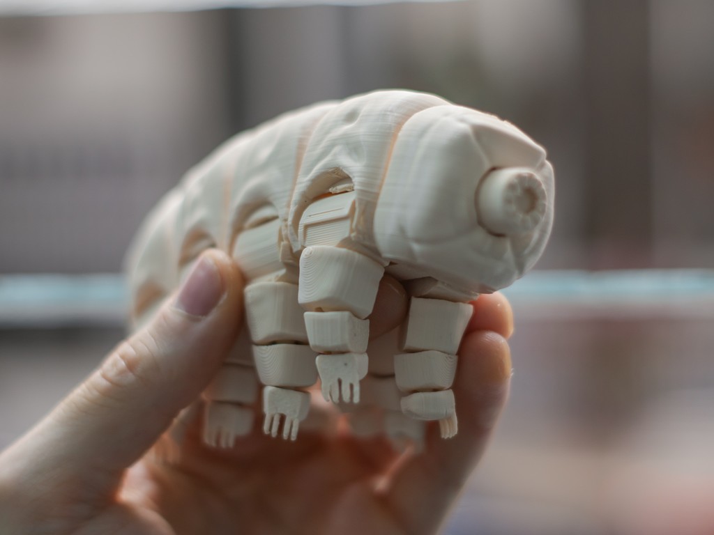 Articulated Tardigrade por Mi Réplica 3D | Descargar modelo STL ...