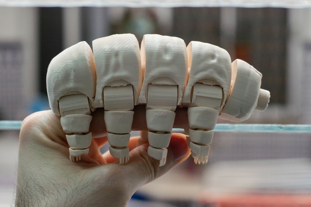 Articulated Tardigrade por Mi Réplica 3D | Descargar modelo STL ...