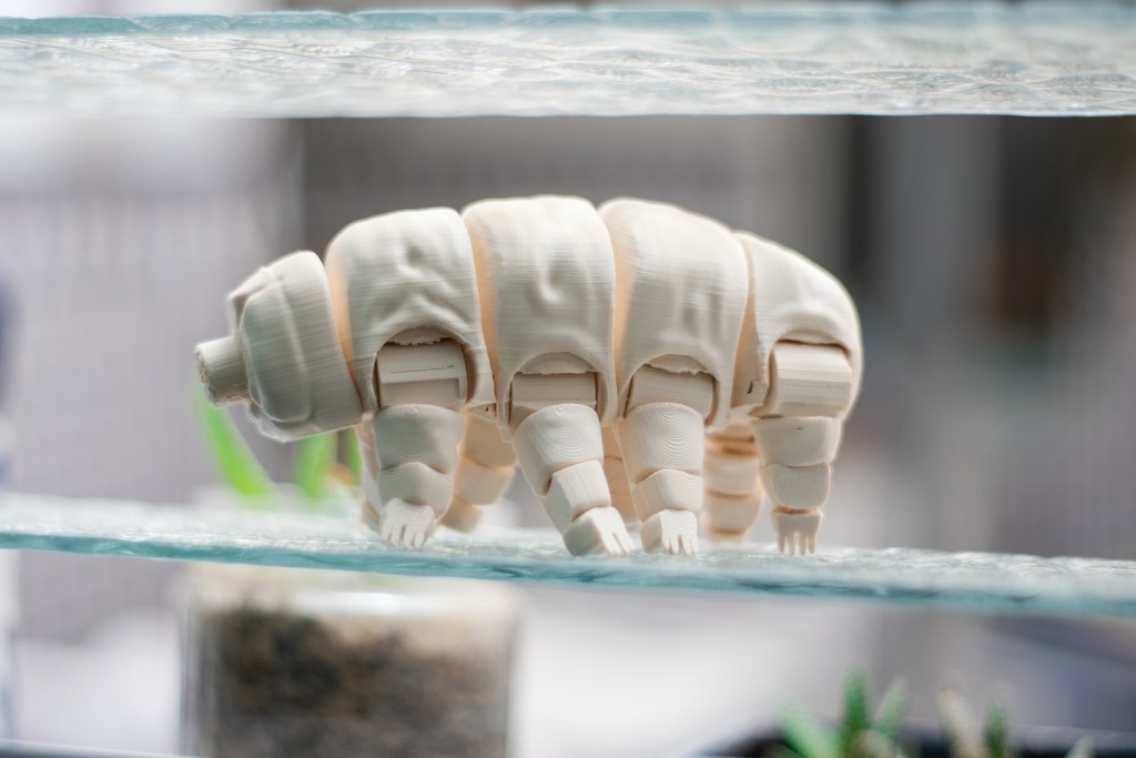 Articulated Tardigrade por Mi Réplica 3D | Descargar modelo STL ...