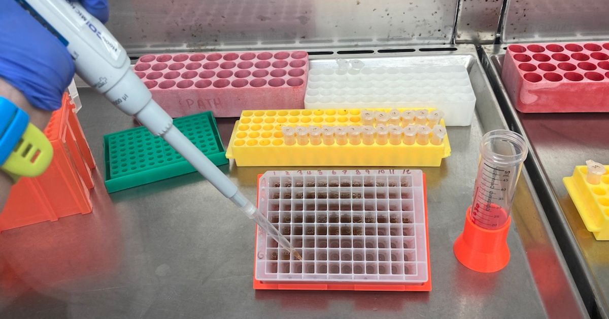 96 Deep Well 38Degree PCR tray stand by VK3BQ | Download free STL model ...